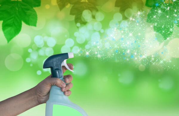 Rockwall's Best House Cleaning Services | Green Cleaning DFW